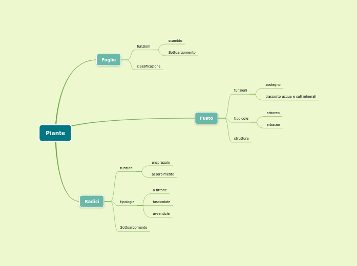Parts of a Plant - Mind Map