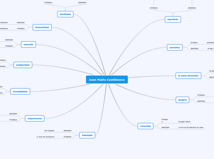 Juan Pablo Castiblanco - Mind Map