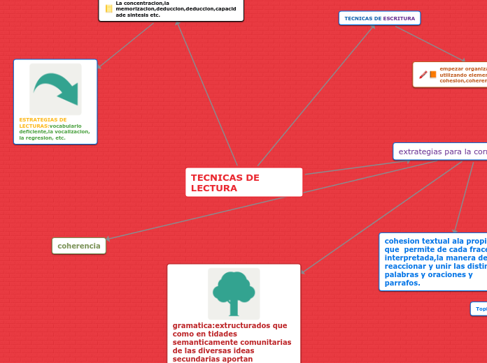 TECNICAS DE LECTURA - Mind Map