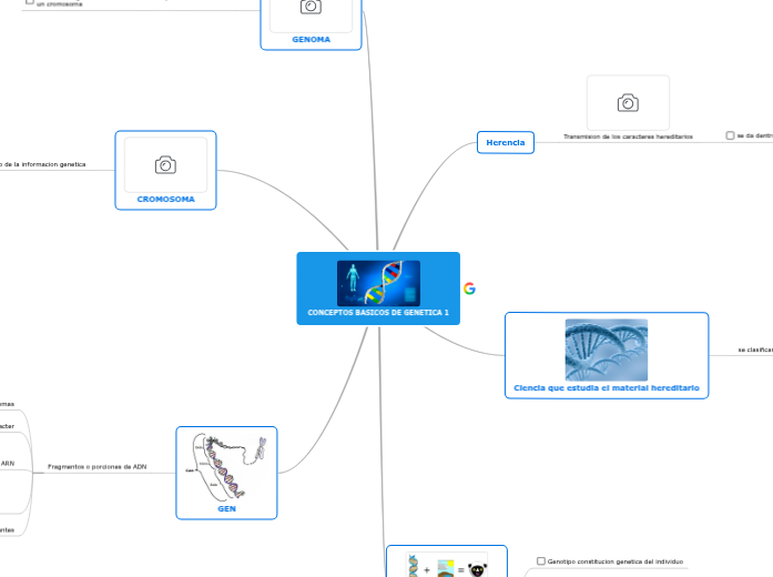 CONCEPTOS BASICOS DE GENETICA 1 - Mind Map