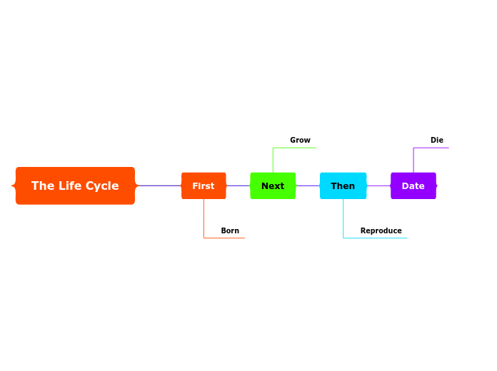 The Life Cycle - Mind Map