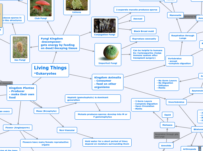 Diversity Concept Map - Concept Map