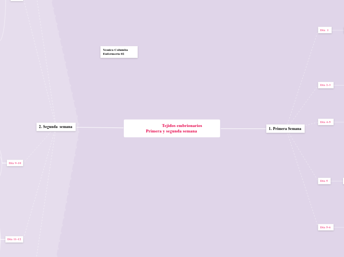 Tejidos embrionarios Pr...- Mind Map