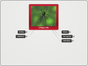 A Bug's Life - Mind Map