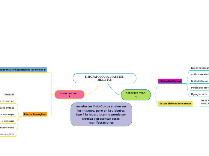FISIOPATOLOGIA DIABETES MELLITUS - Mind Map
