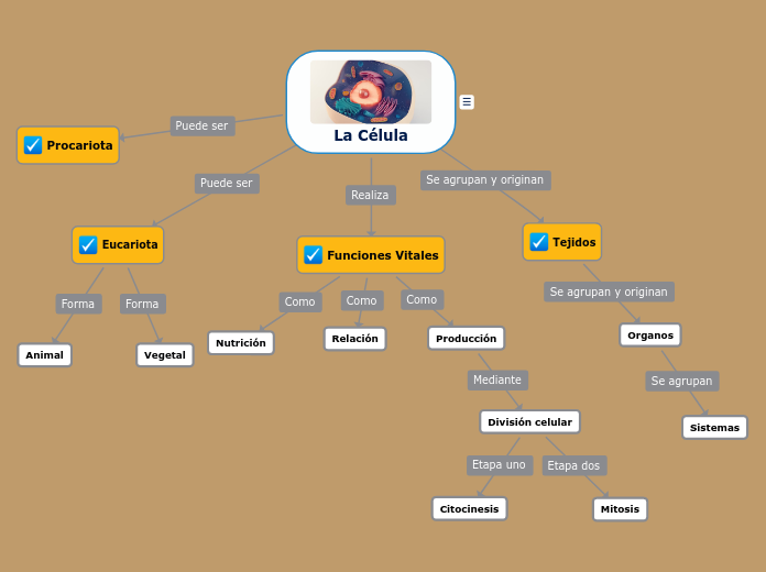 La Célula - Mind Map