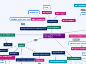 Planeación Estratégica - Concept Map