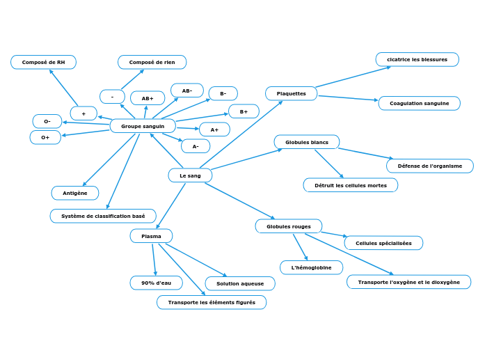Le sang - Mind Map
