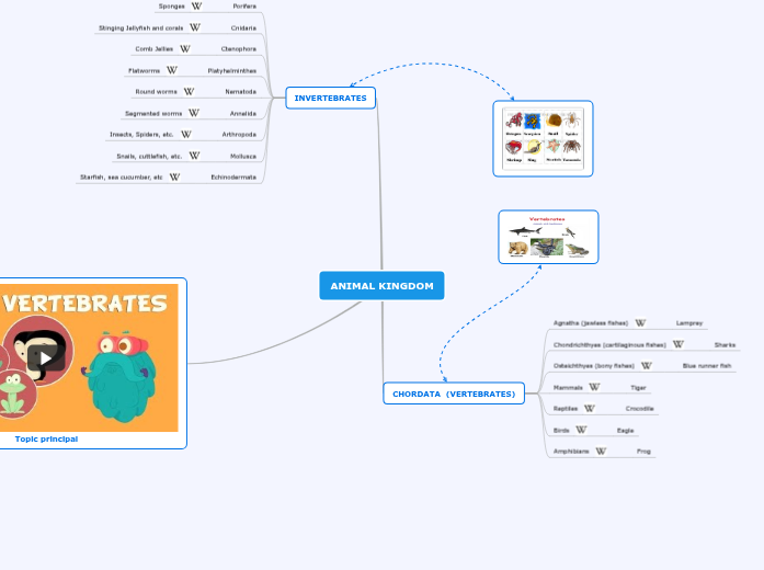 ANIMAL KINGDOM - Mind Map