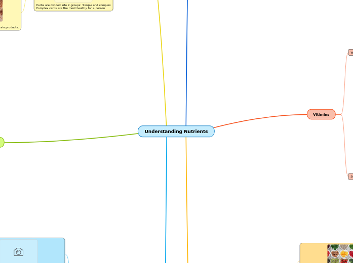 Understanding Nutrients - Mind Map