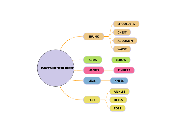 PARTS OF THE BODY - Mind Map