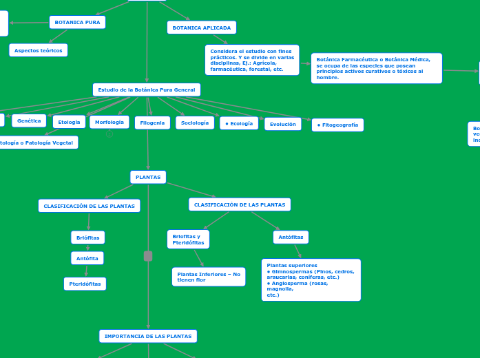 BOTANICA - Mind Map