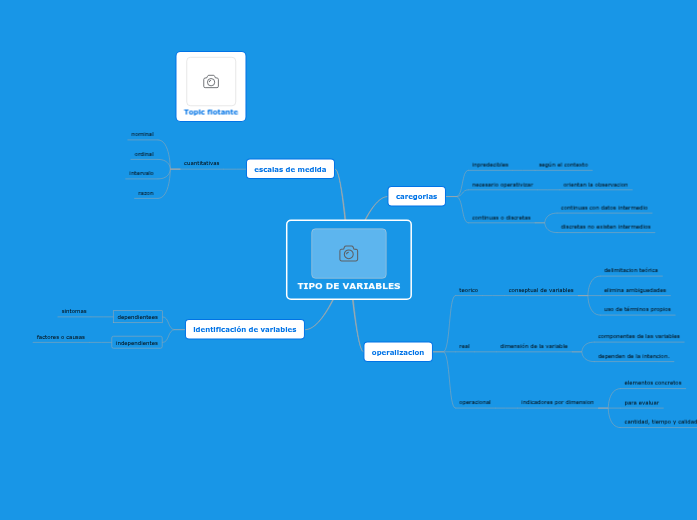 tipos de variables - Mind Map