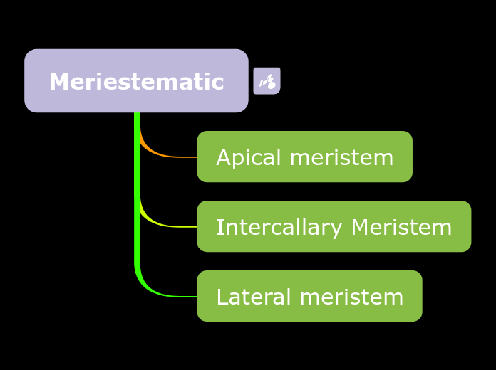 Meriestematic - Mind Map