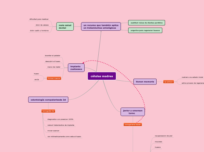 celulas madres - Mind Map