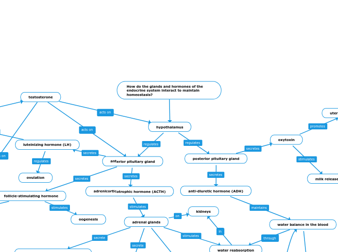 Endocrine System Concept Map - United States Map