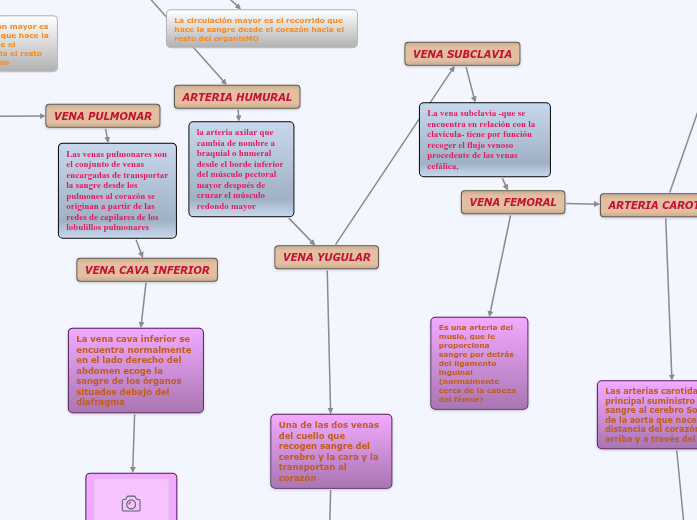 CORAZON - Mind Map