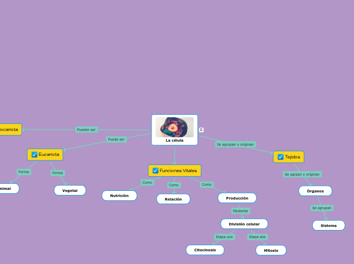 La célula - Mind Map