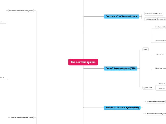 The nervous system - Mind Map