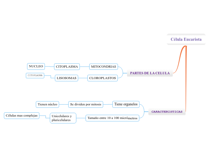 Célula Eucariota - Mind Map