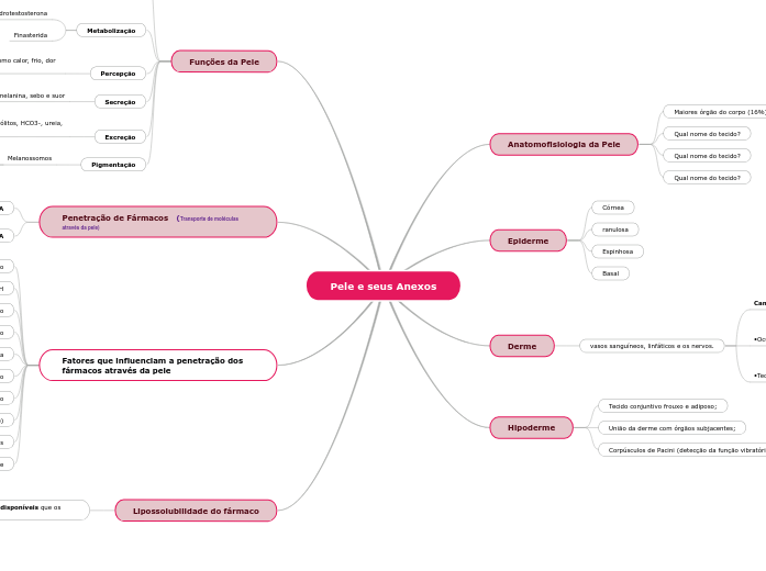 Pele e seus Anexos - Mind Map