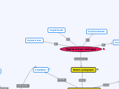 Diseño de recursos - Concept Map