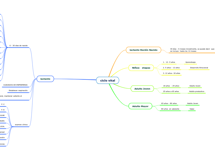 ciclo vital - Mind Map