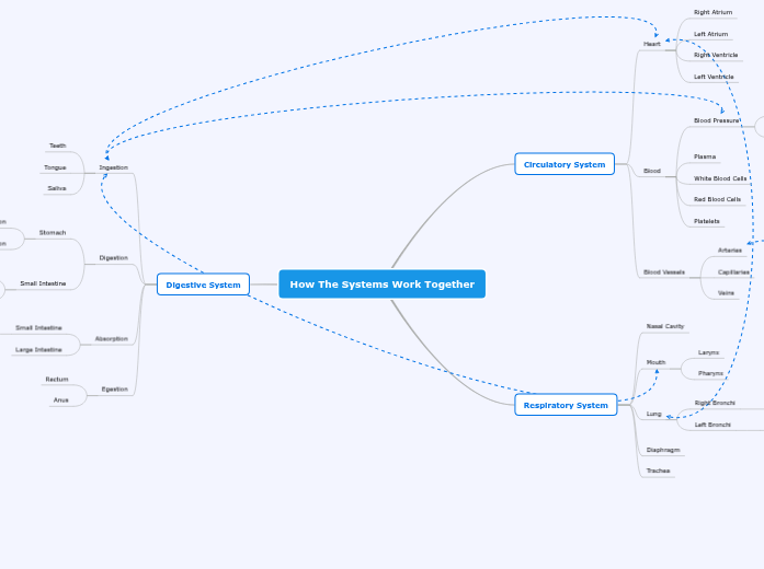 Concept Map- How The Systems Work Together - Mind Map