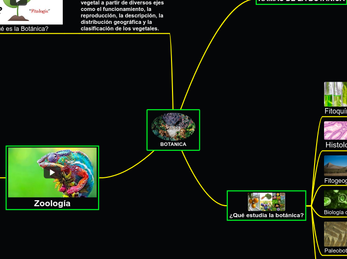 BOTANICA - Mind Map