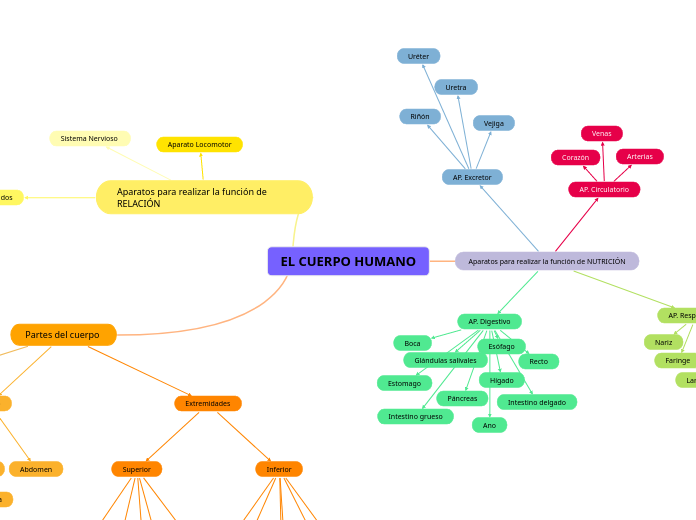 EL CUERPO HUMANO - Mind Map