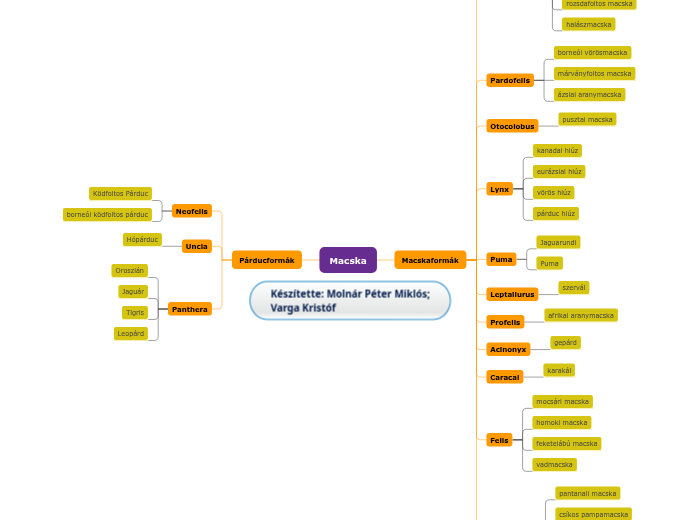 Macska - Mind Map