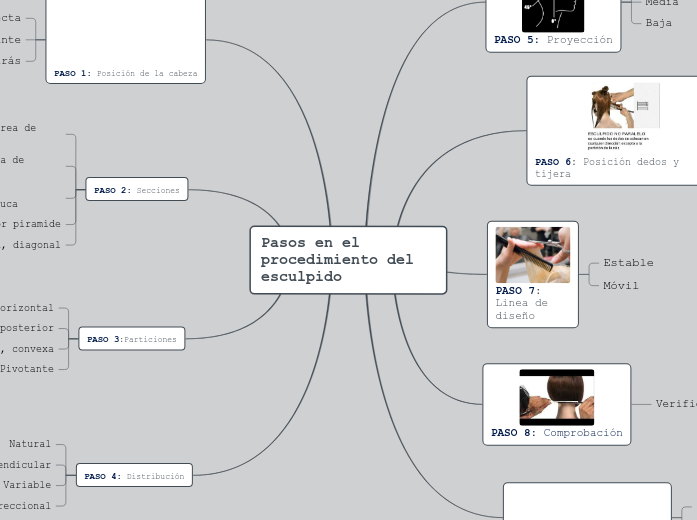 Pasos en el procedimiento del esculpido - Mind Map