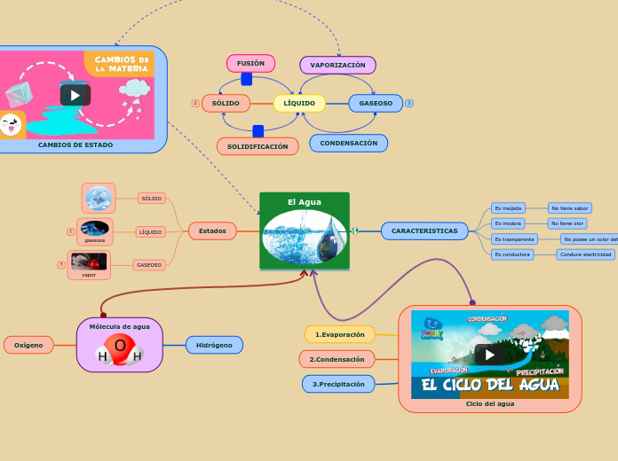 El Agua - Mind Map