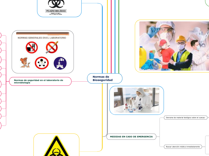 Normas de Bioseguridad - Mind Map