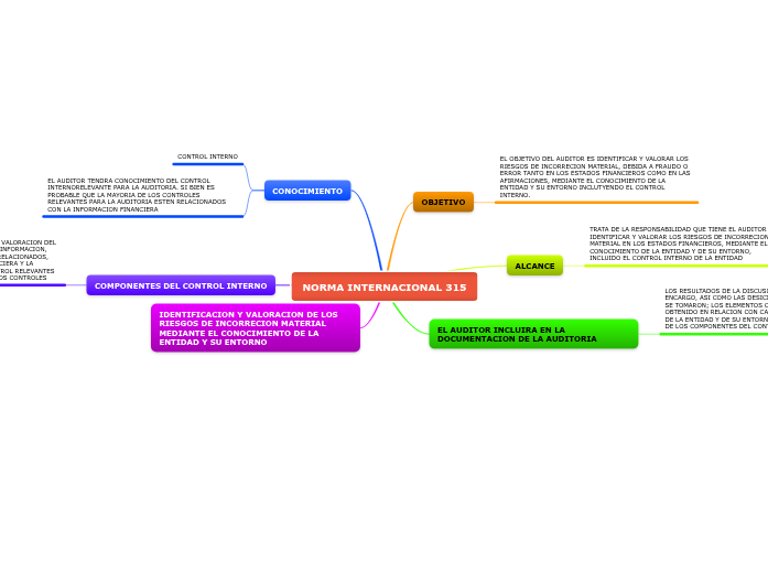 NORMA INTERNACIONAL 315 - Mind Map