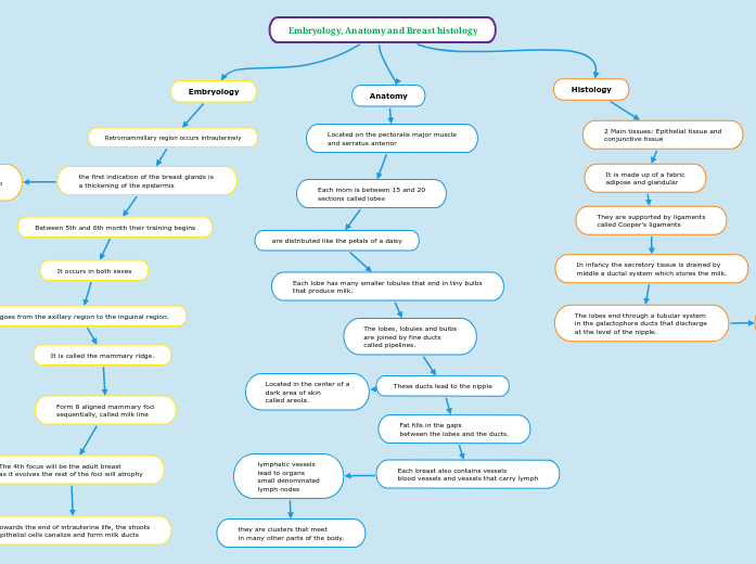 Embryology, Anatomy and Breast histology - Mind Map