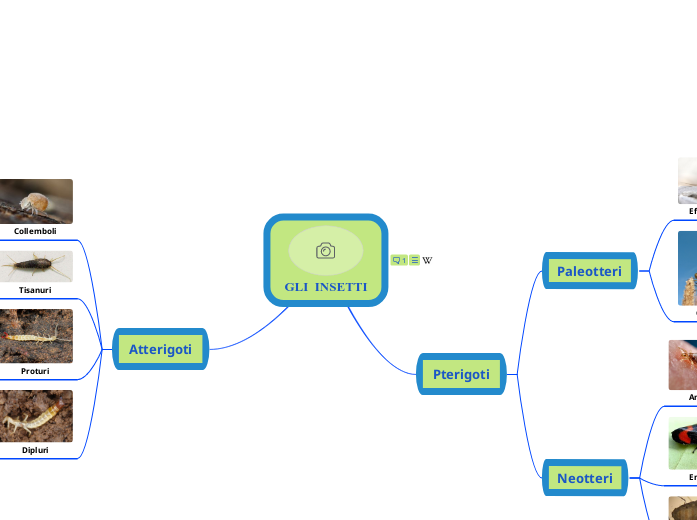 GLI INSETTI - Мыслительная карта