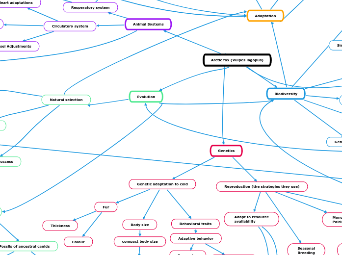 Arctic fox (Vulpes lagopus) - Mind Map