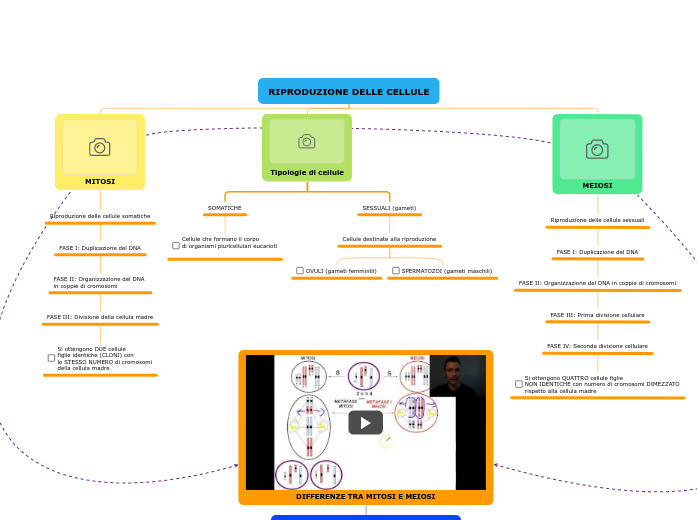 RIPRODUZIONE DELLE CELLULE - Mappa Mentale