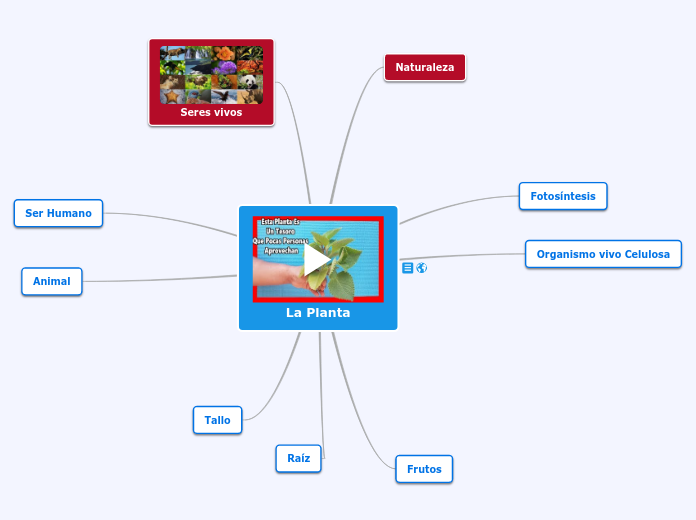 La Planta - Mind Map