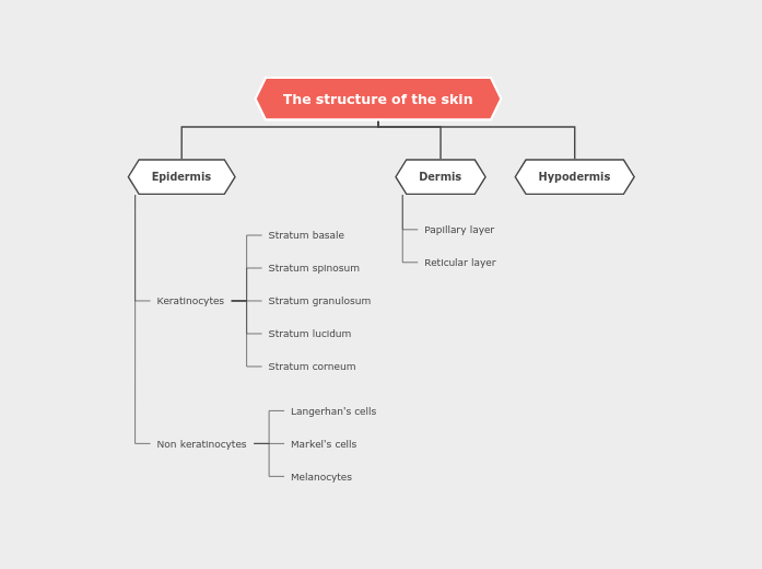 Tree organigram - Mind Map