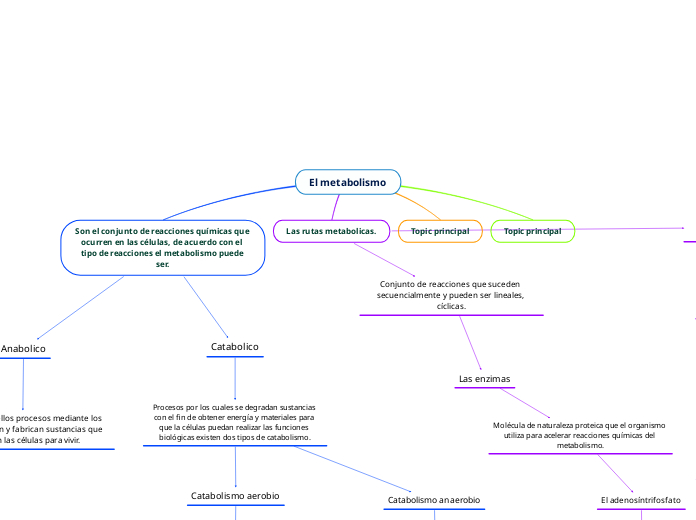 El metabolismo - Mind Map