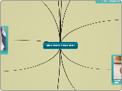 World Food Quest - Mind Map