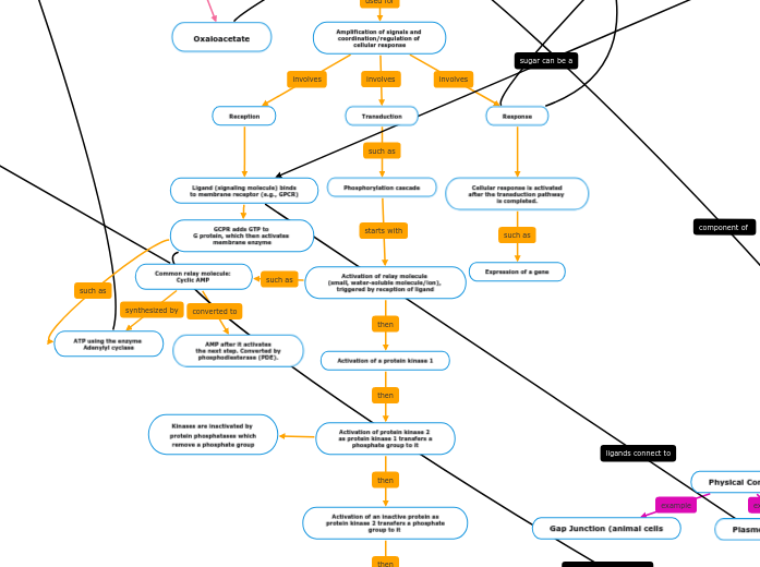 Calvin Cycle Concept Map