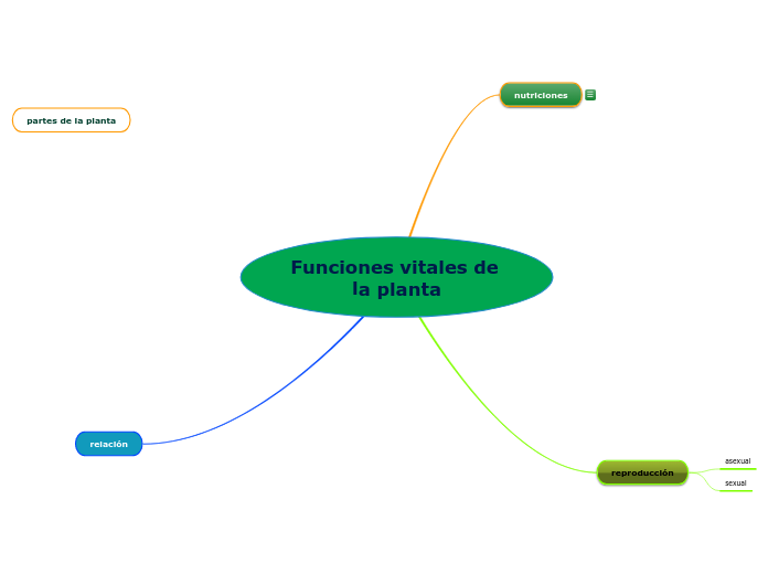 Funciones vitales de la planta - Mind Map