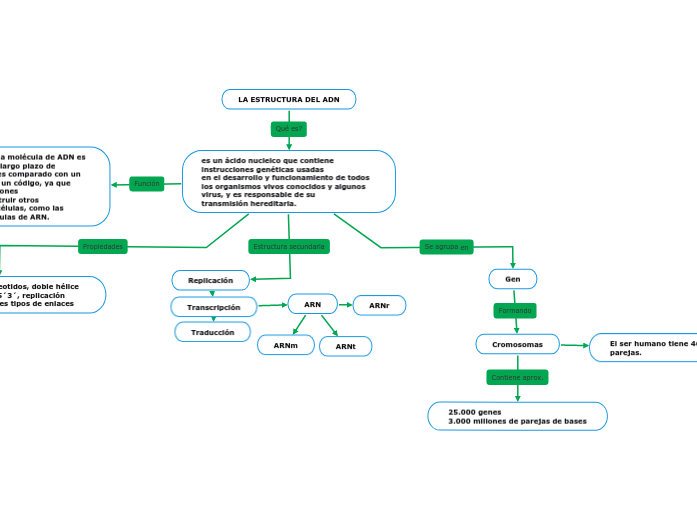 LA ESTRUCTURA DEL ADN - Mind Map