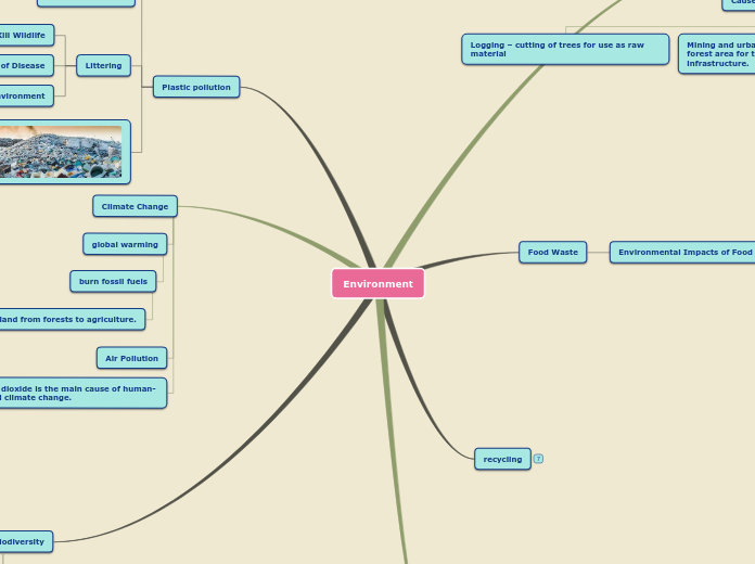 Environment - Mind Map