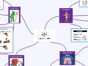 signos vitales - Concept Map
