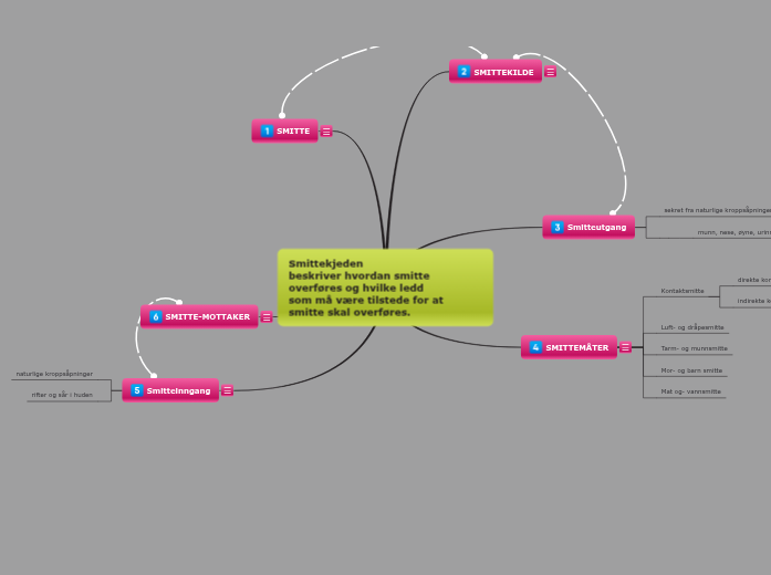 Smittekjeden - De 6 Sér - Mind Map