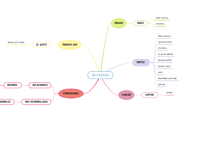 EL OLFATO - Mind Map